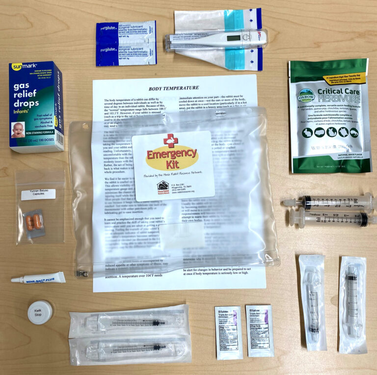 House Rabbit Resource Network – Giving a Second Chance to the Rabbits ...