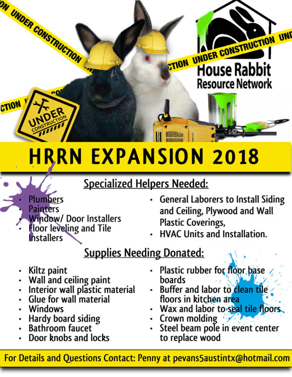 Pardon Our Dust Bunnies | House Rabbit Resource Network