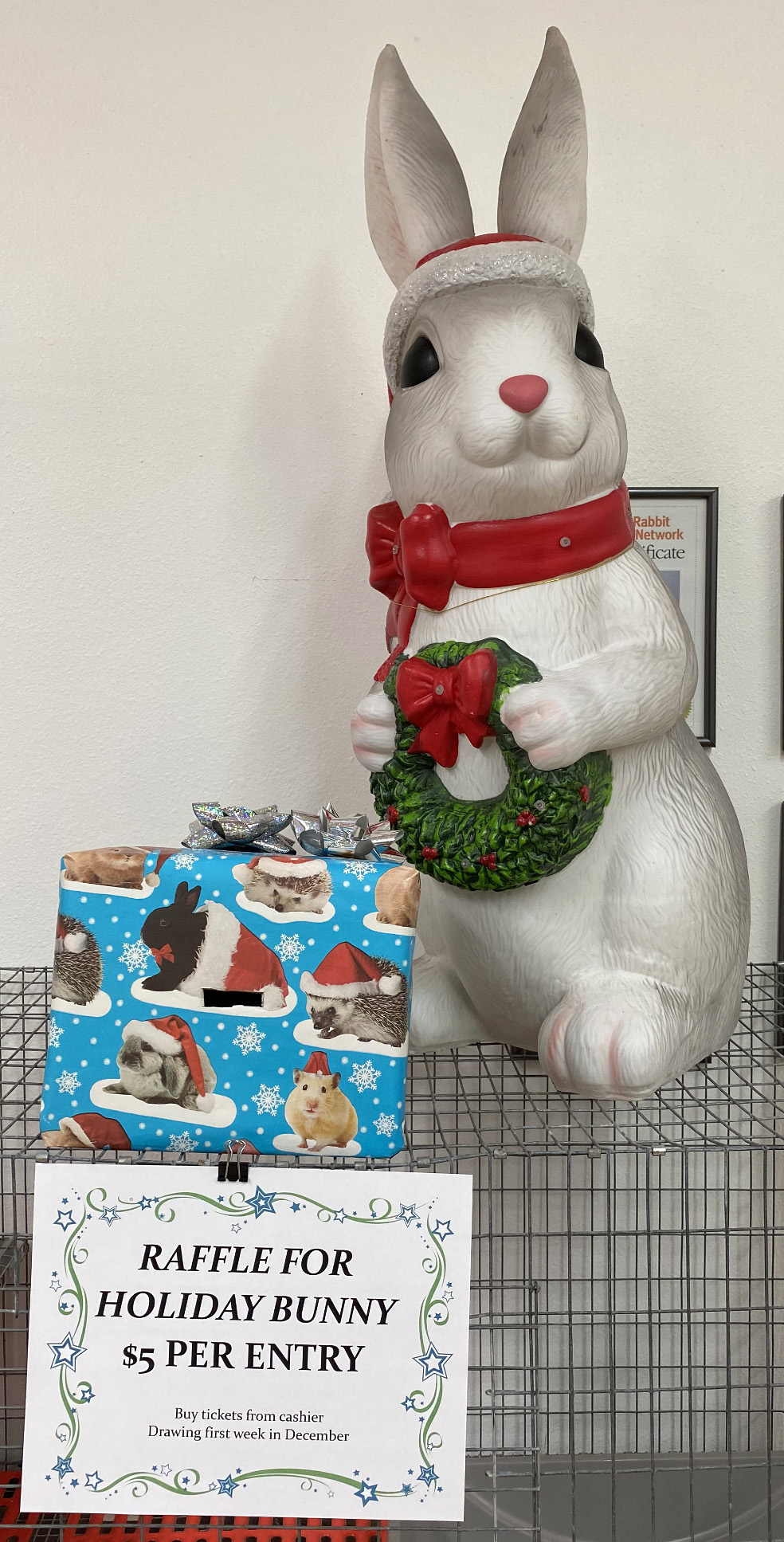 Last Day for the Holiday Rabbit Decoration Raffle – House Rabbit ...