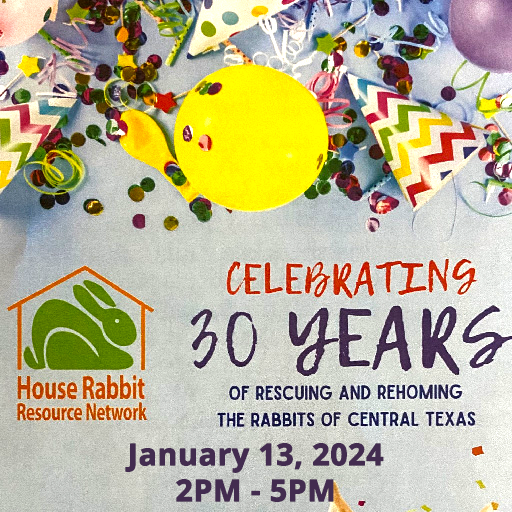 House Rabbit Resource Network | Austin, Texas | Rabbit Rescue