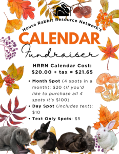 Last Day for 2025 HRRN Rabbit Calendar Spots – House Rabbit Resource ...