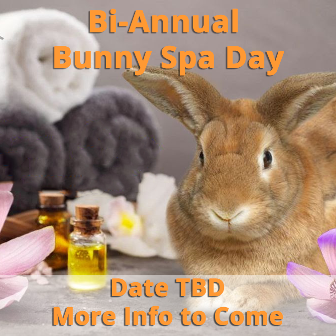 SHOP | House Rabbit Resource Network
