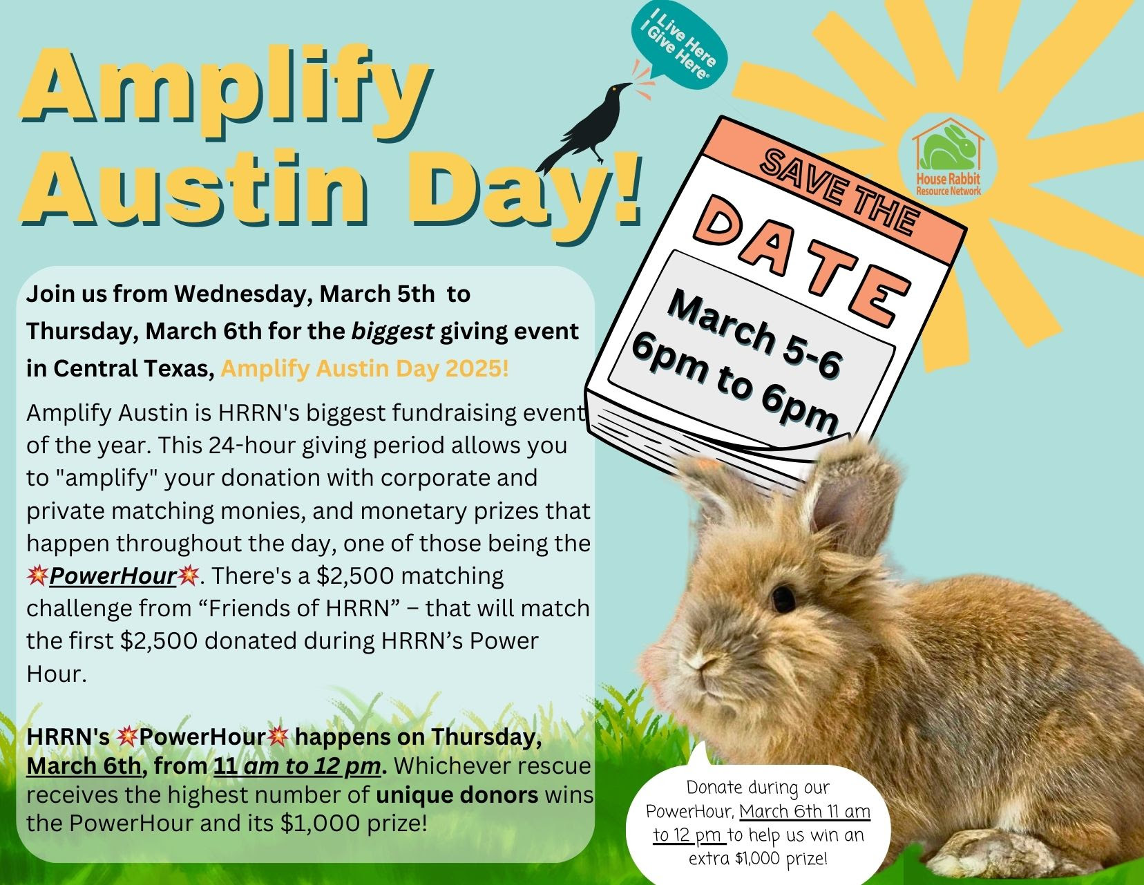 Amplify Austin is Back: March 5-6 – House Rabbit Resource Network