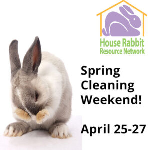 Rabbit Care 101 – House Rabbit Resource Network